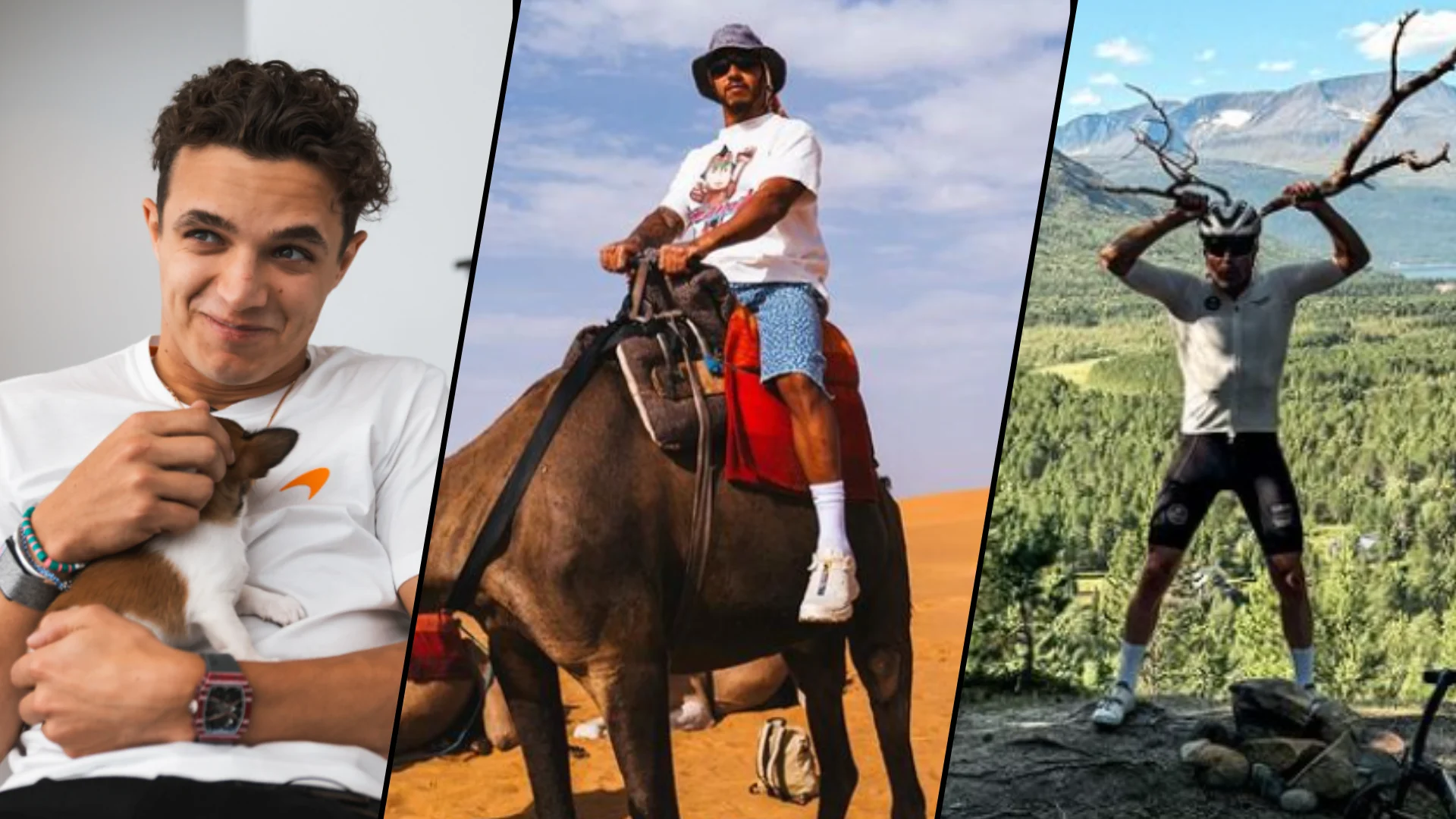 The Paris Olympics, sunshine and cuddles with dogs – How F1 drivers ...